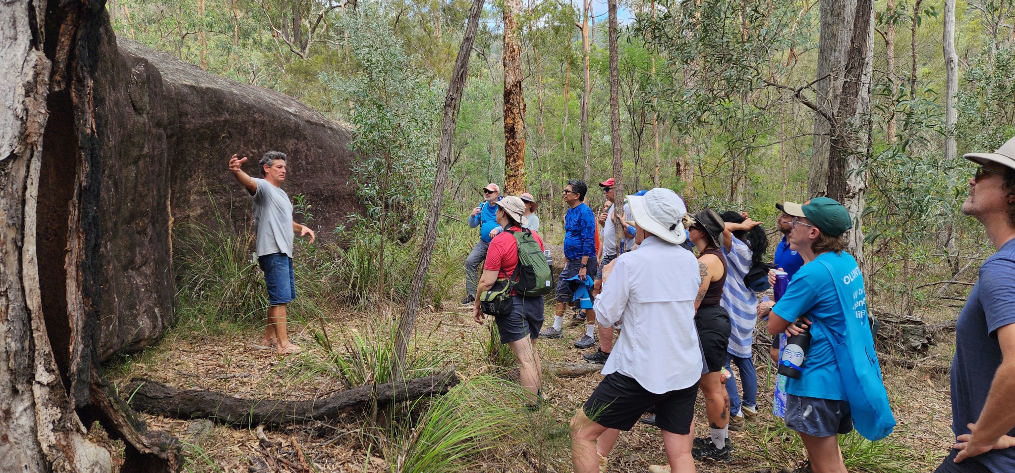 Prouty Project X Blue Mountains: Bushfire Resilience